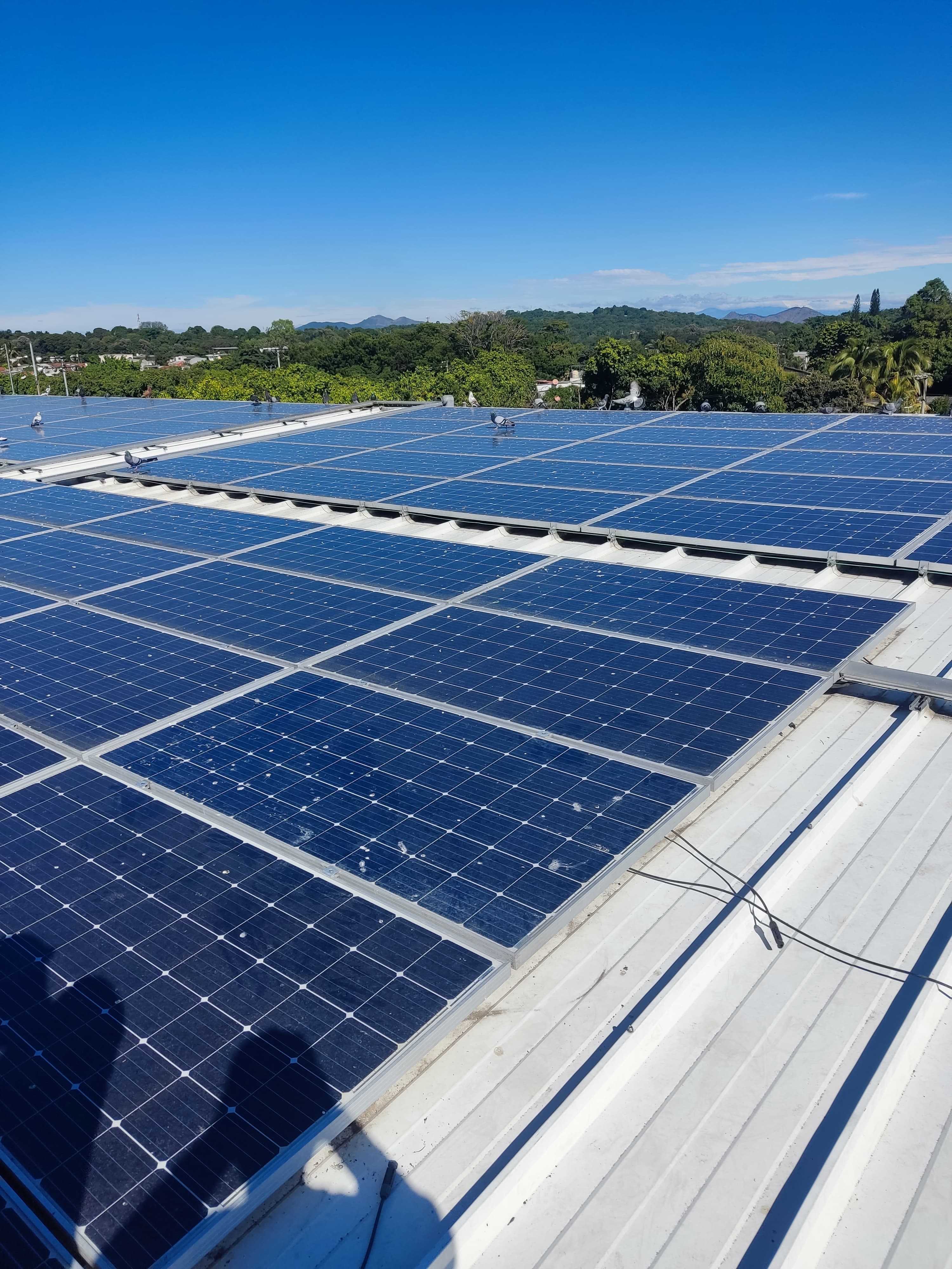 GRUPO SUNTECH – Empresa innovadora y tecnológica